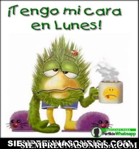 cara de lunes,imagenes,graciosas,feliz lunes,fotos de lunes | Fotos de ...